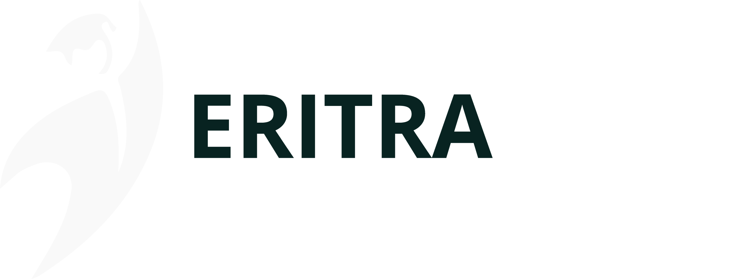 Contact Us Eritra International
